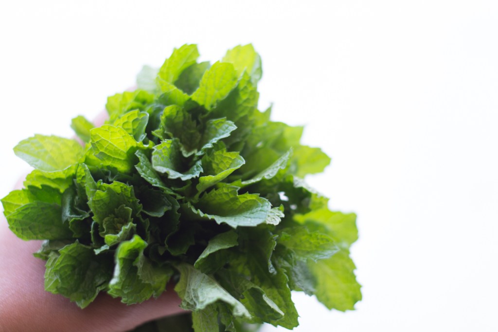 Freekah, Mint Pesto and Vegie Bowl (Vegan) – onesmallpot